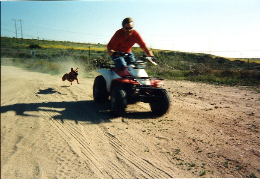 Carlsbad Raceway Official Website--Info, Memorabilia, Pictures
